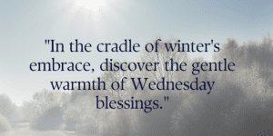 135+ Beautiful Happy Wednesday Winter Images