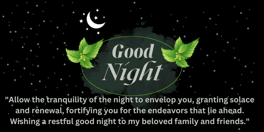 108+ Beautiful Good Night Images For Family
