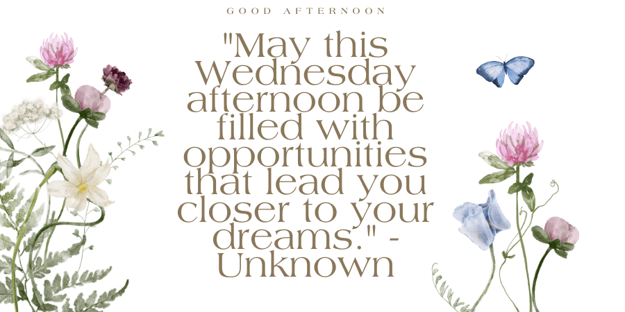 63+ Beautiful Good Afternoon Wednesday Quotes and Images – Dreamchaserhub