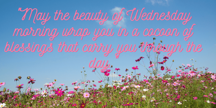 300+ Beautiful Wednesday Morning Quotes And Blessings