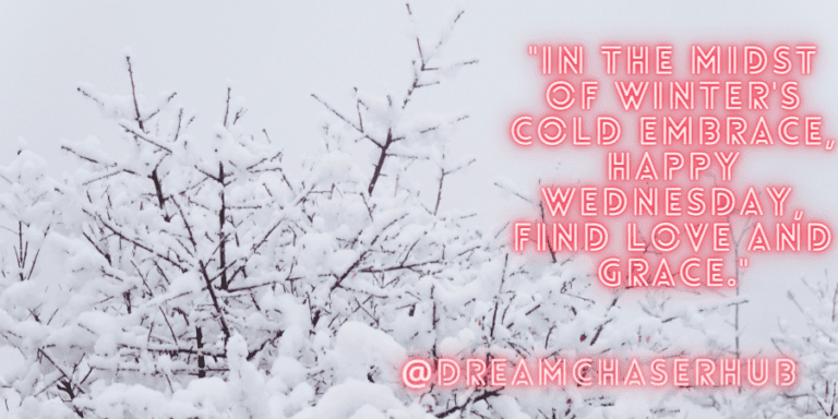135+ Beautiful Happy Wednesday Winter Images