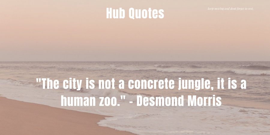 40+ Hub Quotes Fueling Your Journey To Success!