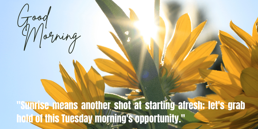 219+ Good Morning Tuesday Blessings Images And Quotes
