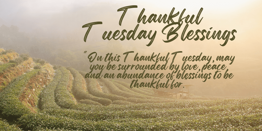 219+ Good Morning Tuesday Blessings Images And Quotes