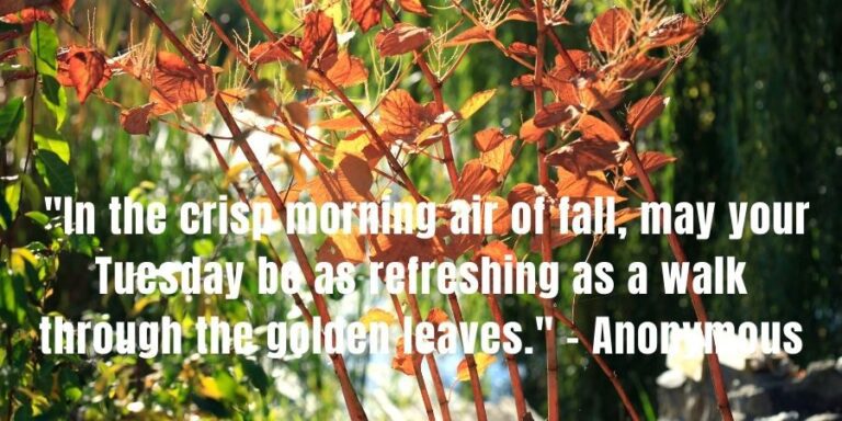 99+ Good Morning Happy Tuesday Fall Images, GIFs