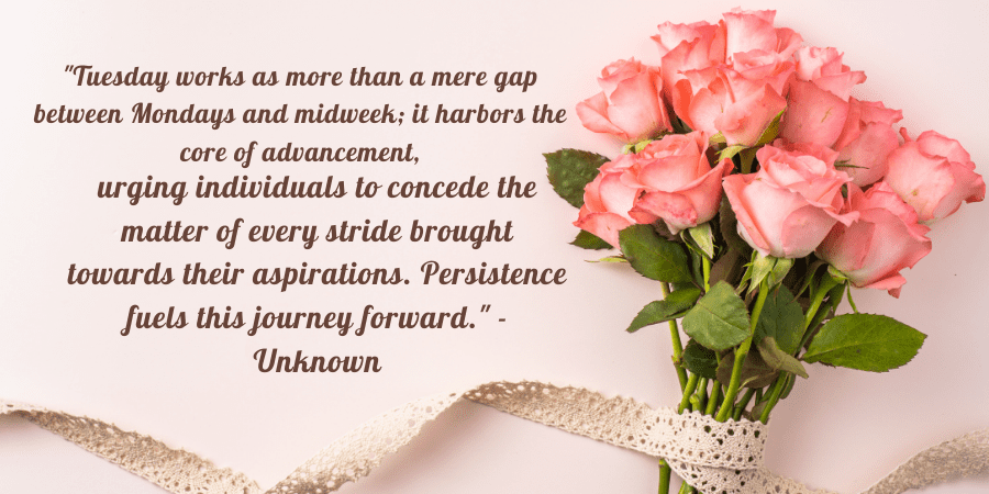 107+ Tuesday Inspiration Quotes To Brighten Your Day