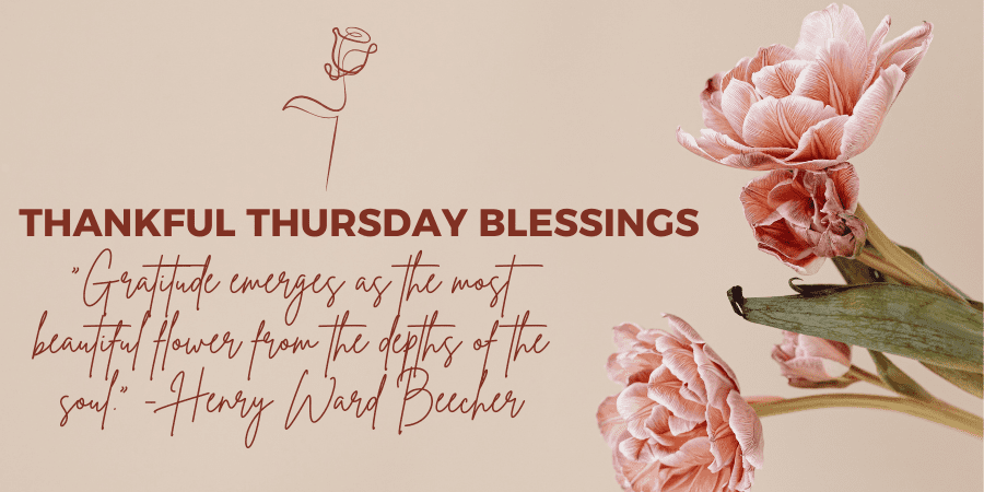 80+ The Beauty Of Thankful Thursday Images And Quotes