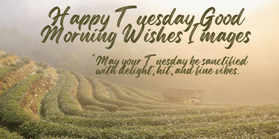 89+ Tuesday Good Morning Wishes, Messages, Images