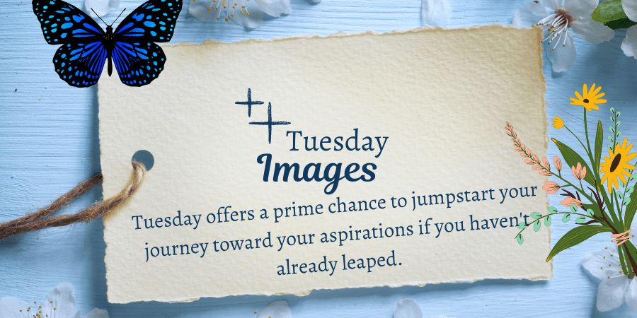 99+ Good Morning Happy Tuesday Images, GIFs & Photos - Dreamchaserhub