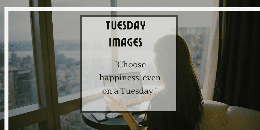 99+ Good Morning Happy Tuesday Images, GIFs & Photos