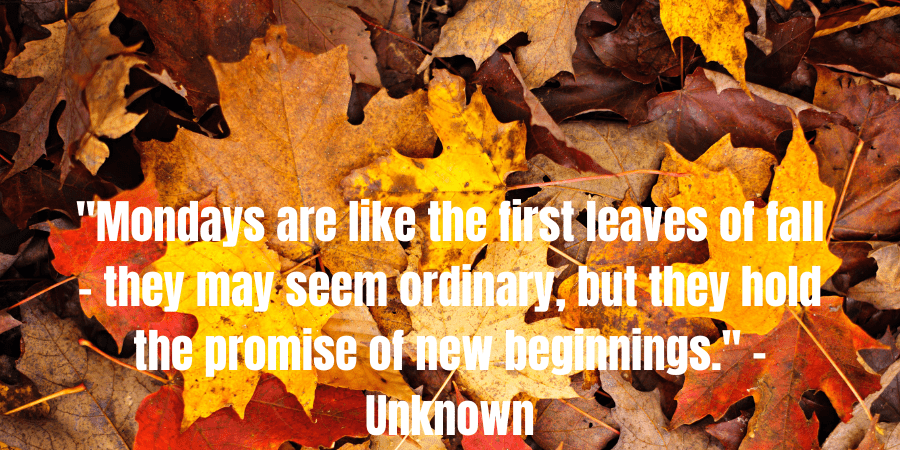 39+ Good Morning Happy Monday Fall Images and Quotes - Dreamchaserhub