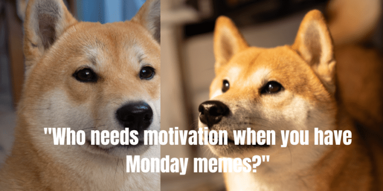 59+ Monday Memes That'll Kickstart Your Week With A Smile!
