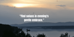 40+ Beautiful Good Evening Images, Pic, And GIFs