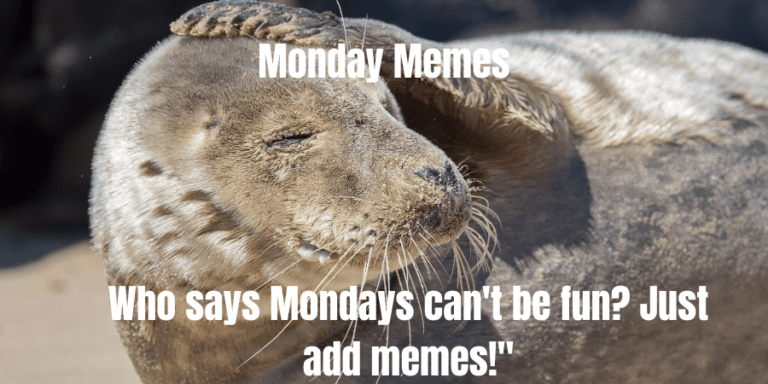 59+ Monday Memes That'll Kickstart Your Week With A Smile!