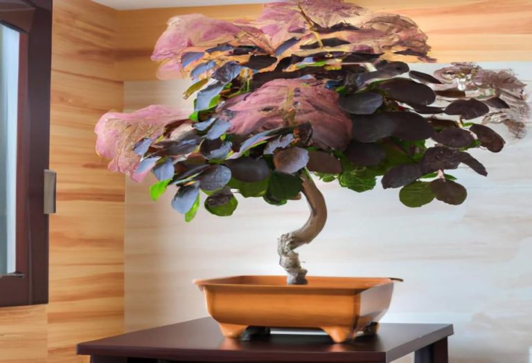 The Smoke Tree: A Unique Ornamental Plant For Your Garden