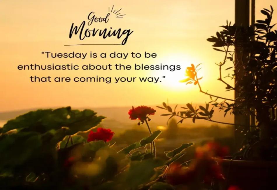 Good Morning Tuesday: A Fresh Start To Inspire Your Week Ahead