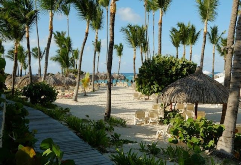 Top Attractions In Punta Cana You Can't Miss